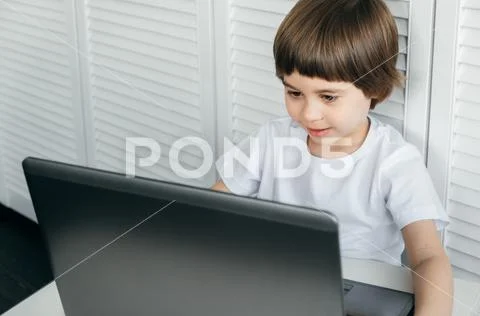 Photograph: 5 year boy sit at the table, uses laptop, looking at the ...