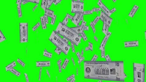 50 UNITED ARAB EMIRATES DIRHAM notes fal... | Stock Video | Pond5