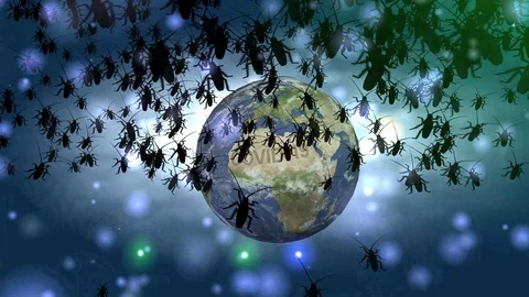 Animated Insect Stock Video Footage | Royalty Free Animated Insect ...