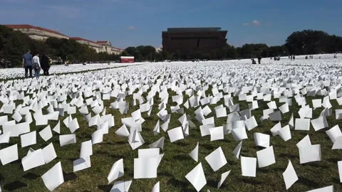 Placed On Stock Videos – Royalty-Free HD & 4K Videos | Pond5