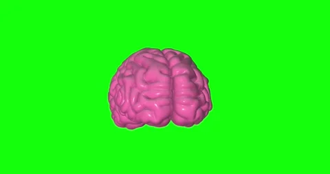8 different animations 3d human brain an... | Stock Video | Pond5