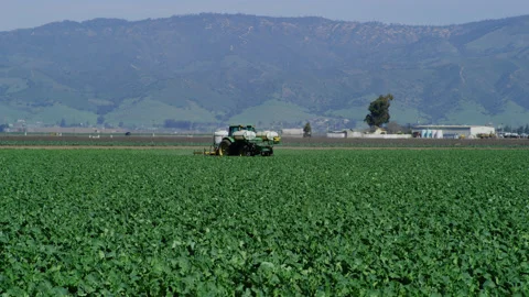 Salinas Stock Video Footage | Royalty Free Salinas Videos | Pond5