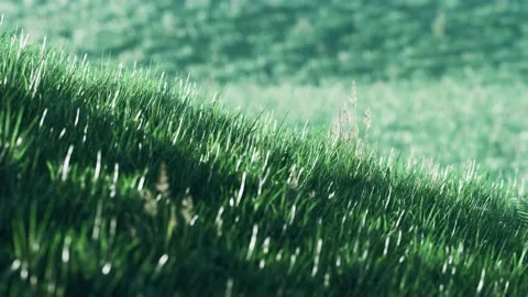 8K green grass field on hills background | Stock Video | Pond5