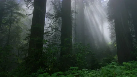 Rays Stock Footage ~ Royalty Free Stock Videos | Page 2