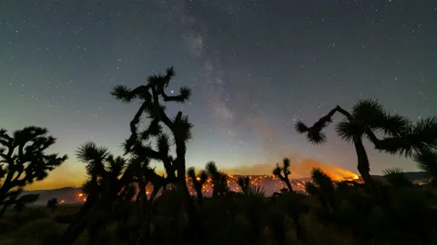 First Fire Tracker Stock Videos – Royalty-Free HD & 4K Videos | Pond5