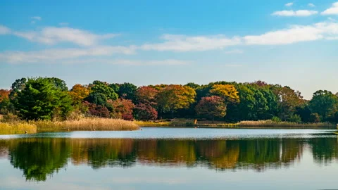 8K Timelapse of Reflective Pond and Fall... | Stock Video | Pond5