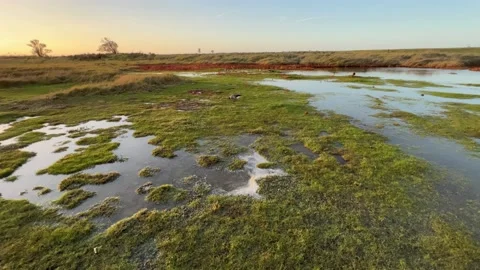 Hot Video Clip Stock Videos – Royalty-Free HD & 4K Videos