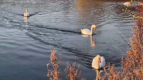 Hot Video Clip Stock Videos – Royalty-Free HD & 4K Videos | Page 5