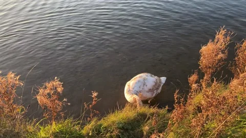 Hot Video Clip Stock Videos – Royalty-Free HD & 4K Videos | Page 6