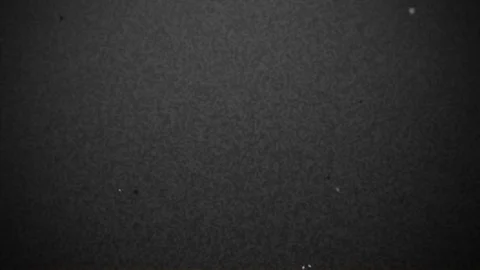 Film Frame Leader Stock Footage ~ Royalty Free Stock Videos | Pond5