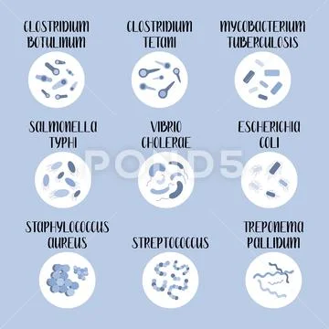 9 most pathogenic bacteria: Escherichia Coli, Staphylococcus Aureus ...