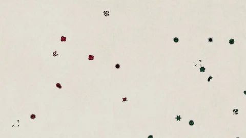 Videos Of Bangladash Stock Videos – Royalty-Free HD & 4K Videos