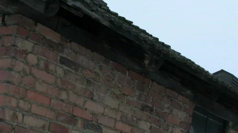 abandoned building rain dripping off roo... | Stock Video | Pond5