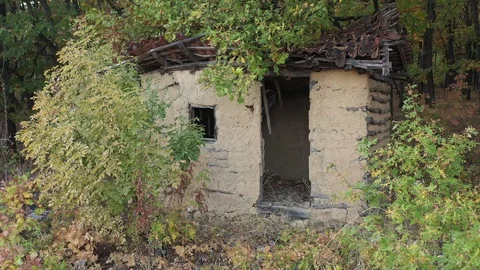 Abandoned mud cabin in the forest 4K vid... | Stock Video | Pond5