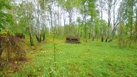 State Farm T Stock Videos – Royalty-Free HD & 4K Videos