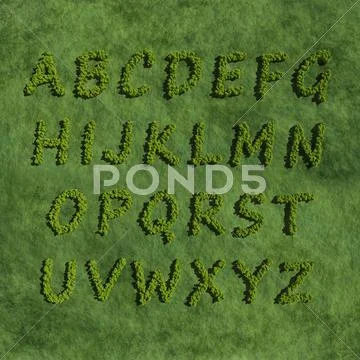 Abc alphabet create by tree with grass background ~ Clip Art #49798547