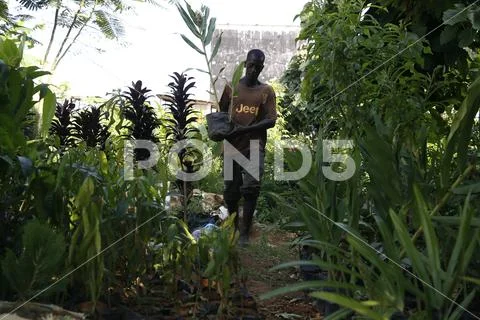 Abidjan Previews for World Day of the Environment, Ivory Coast - 03 Jun ...