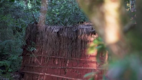 Aboriginal Image Stock Footage ~ Royalty Free Stock Videos | Pond5