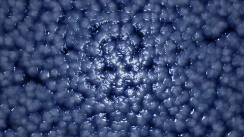 Slime Animation Stock Footage ~ Royalty Free Stock Videos | Pond5