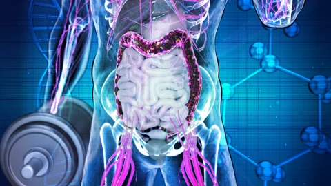 Abstract animation of the Gut Microbiome | Stock Video | Pond5