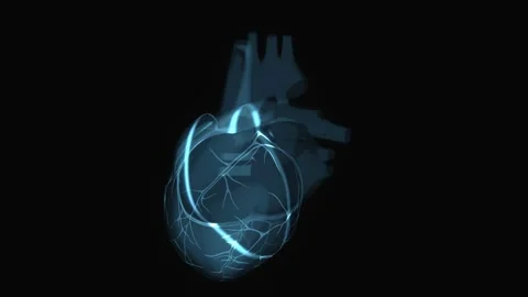 Abstract animation of a heart in xray | Stock Video | Pond5