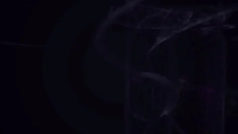 3D Photo Animation Stock Videos – Royalty-Free HD & 4K Videos | Pond5