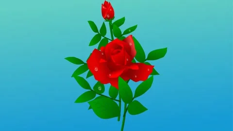 Abstract Beautiful Rose flowers, gift ba... | Stock Video | Pond5