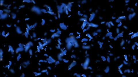 Abstract blue feather falling background | Stock Video | Pond5