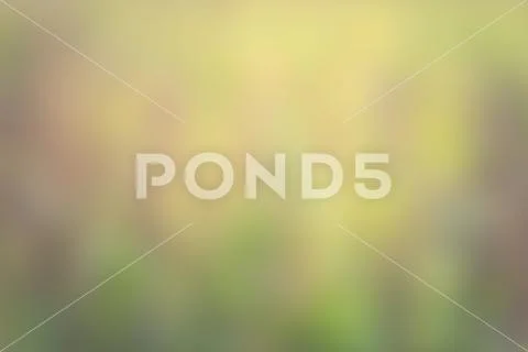 Abstract blurred color background with soft focus. The concept of ...