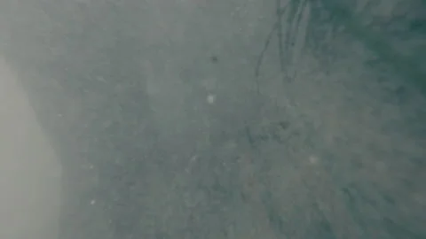 Abstract Bubbles and Seawead in Chaotic ... | Stock Video | Pond5