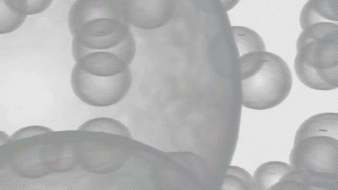 Bubbles Alpha Transparent Stock Video Footage | Royalty Free Bubbles ...