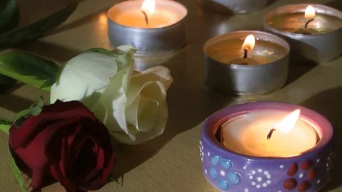 10 and Rose Stock Videos – Royalty-Free HD & 4K Videos