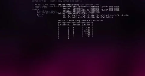 Coding Python Stock Videos – Royalty-Free HD & 4K Videos