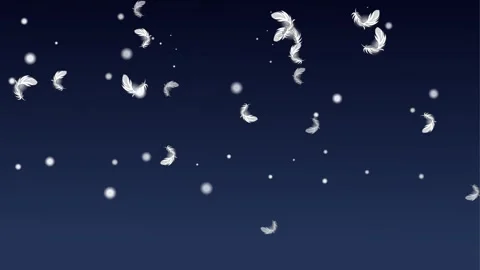 Abstract falling wings background and 2d... | Stock Video | Pond5