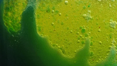 Abstract green blob and fast bubbles sci... | Stock Video | Pond5