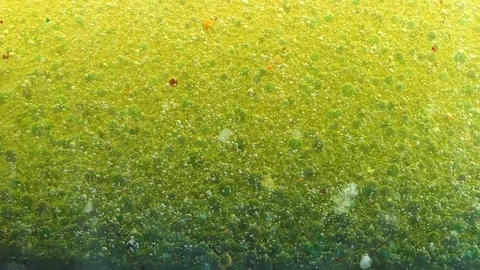 Abstract green blob and slowly bubbles s... | Stock Video | Pond5
