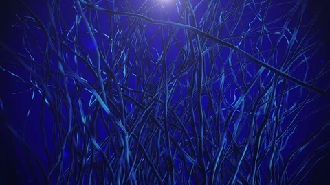 Space Intro Stock Video Footage | Royalty Free Space Intro Videos | Pond5