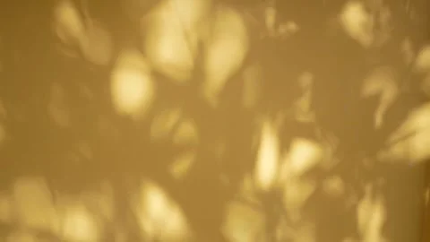 Abstract leaves yellow shadow background... | Stock Video | Pond5
