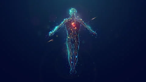 Human Body Blood Stock Video Footage | Royalty Free Human Body Blood ...