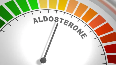 Abstract meter with scale reading low le... | Stock Video | Pond5