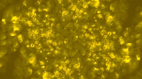 Abstract motion background in gold color... | Stock Video | Pond5