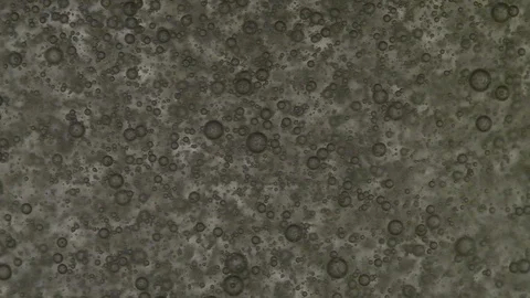 Soapy Rain Drop Stock Videos – Royalty-Free HD & 4K Videos