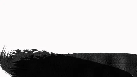 Abstract Paint Brush Transition Reveal w... | Stock Video | Pond5