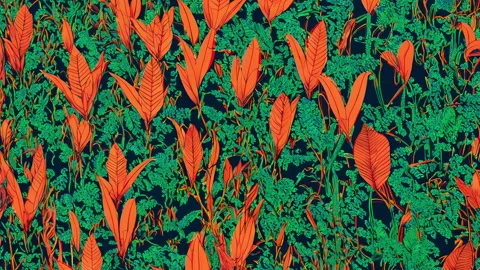 Abstract Plants Looped Animation Backgro... | Stock Video | Pond5