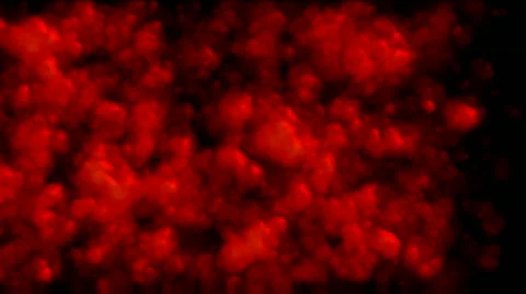 Boiling Blood Stock Video Footage | Royalty Free Boiling Blood Videos ...