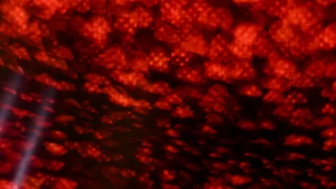 Burn Texture Stock Video Footage | Royalty Free Burn Texture Videos | Pond5