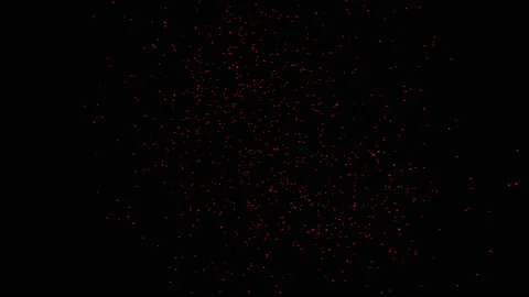 Abstract red dots is random moving anima... | Stock Video | Pond5
