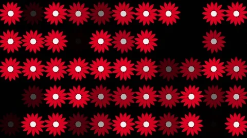 Abstract red flowers in rows on black | Stock Video | Pond5