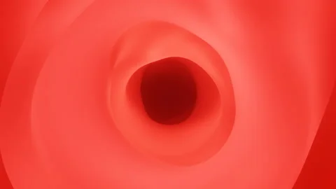 Abstract red gradient elegant ripple ani... | Stock Video | Pond5