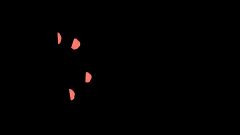 Abstract Red ink drop on a black backgr... | Stock Video | Pond5